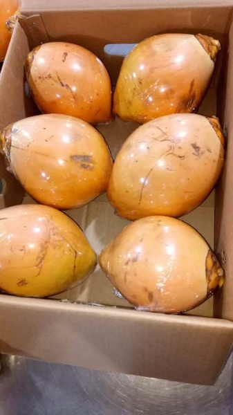 Product Details: Fresh king coconut