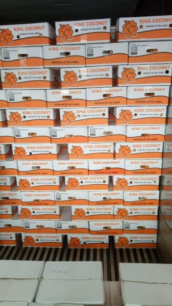 Product Details: Fresh king coconut