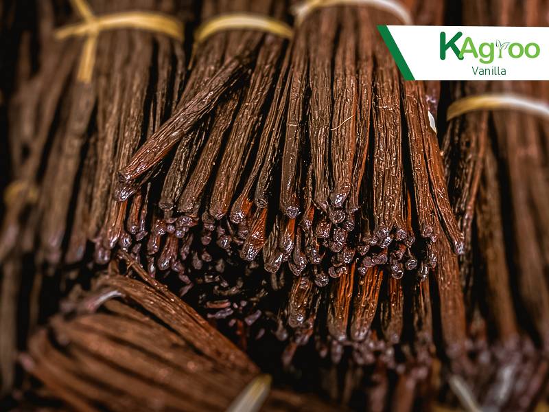 Product Details: Natural Vanilla Beans - Cured
