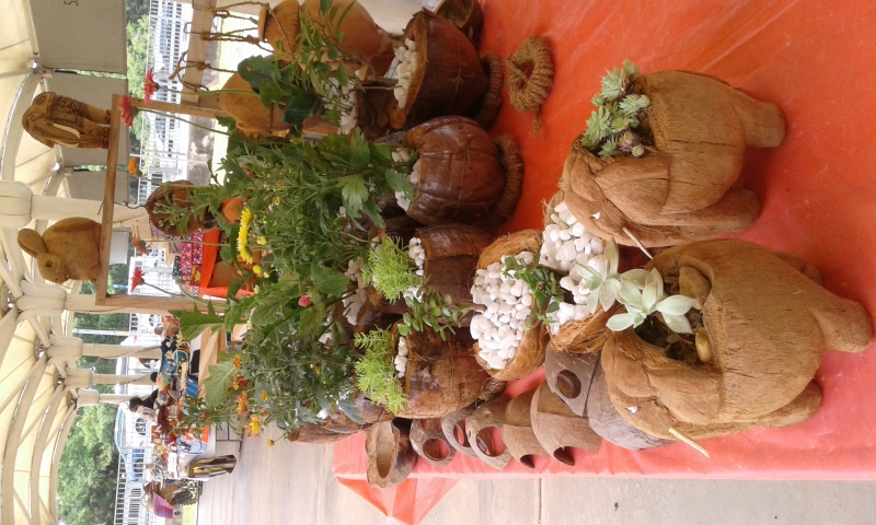 Product Details: Coconut elephant