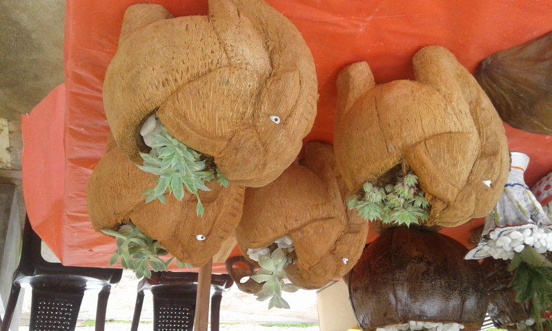Product Details: Coconut elephant