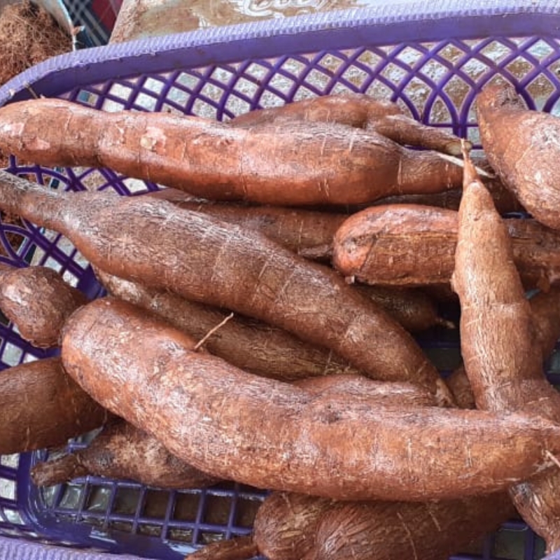 Product Details: Fresh Tapioca (Manioc) for Export market