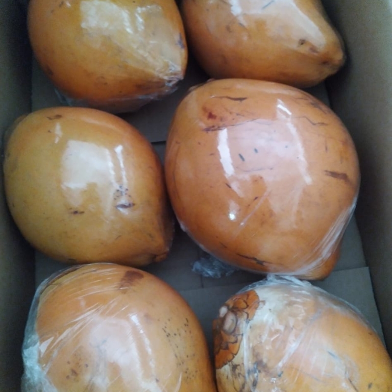Product Details: Fresh King Coconut for Export market