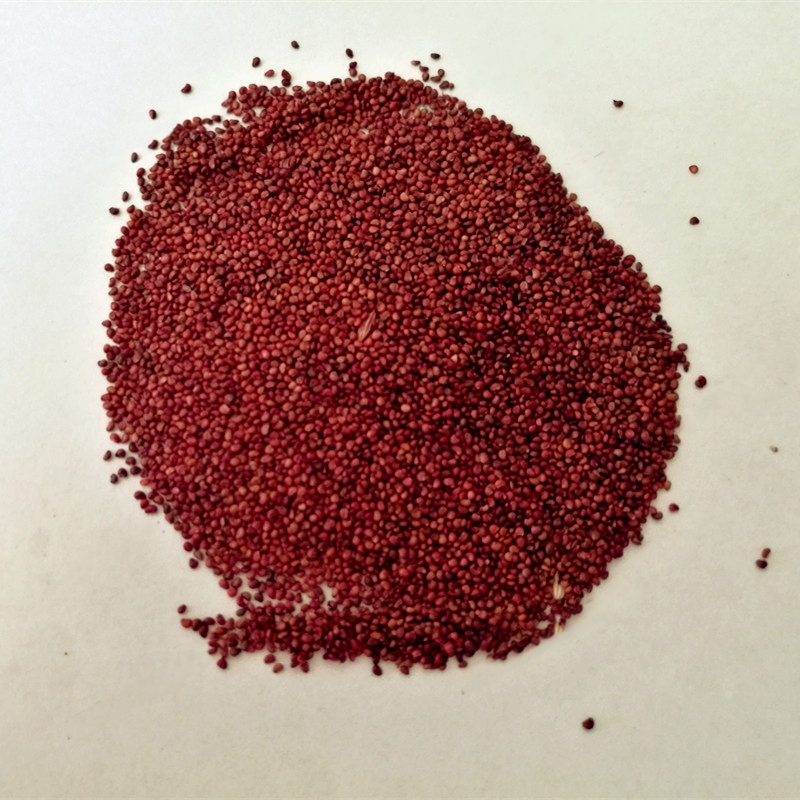 Product Details: Strawberry Seeds