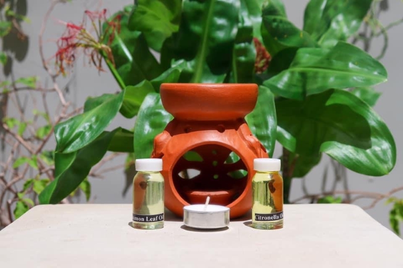 Product Details: Cinnamon Oil Burner / Natural Air Freshener