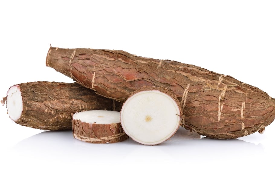 Product Details: Manioc / Casava / Tapioca