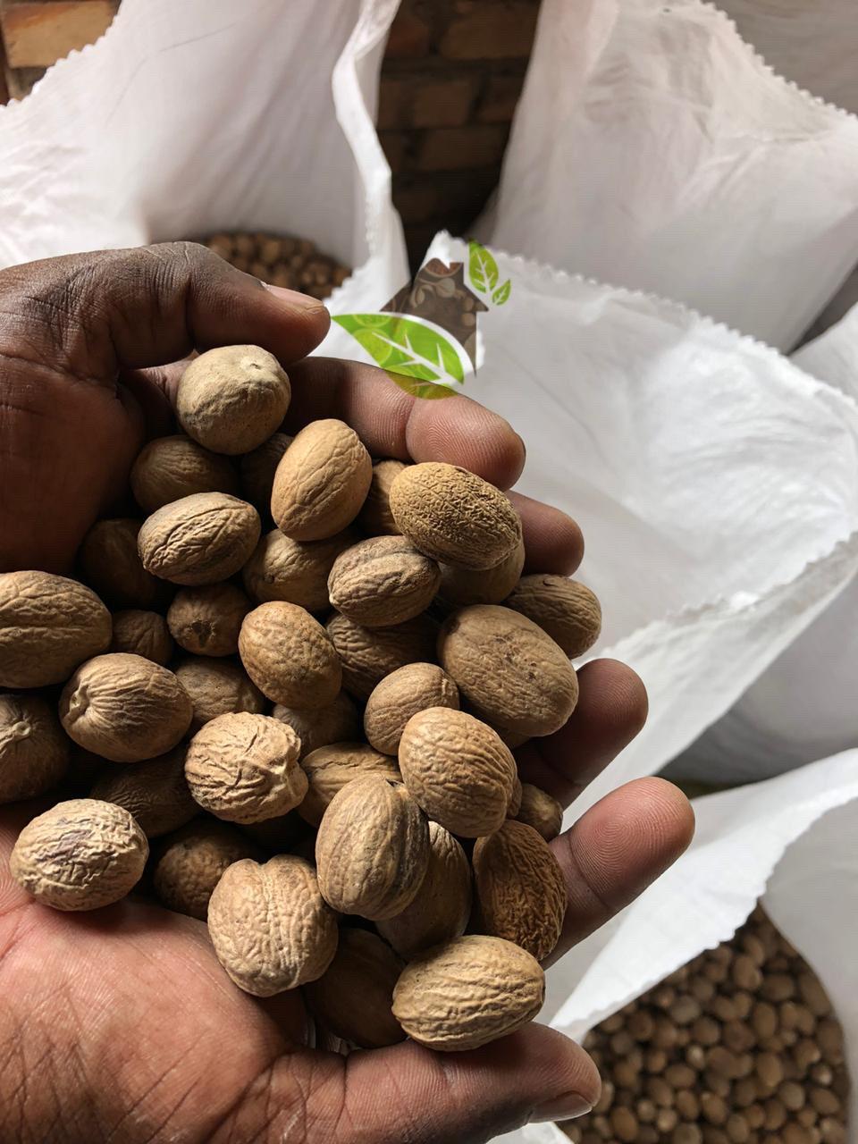 Product Details: Nutmegs without shell