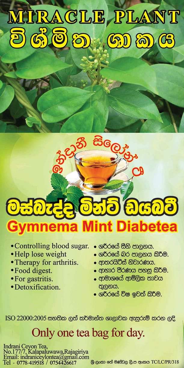 Product Details: Gymnema mint diabetea is a good tea for diabetes