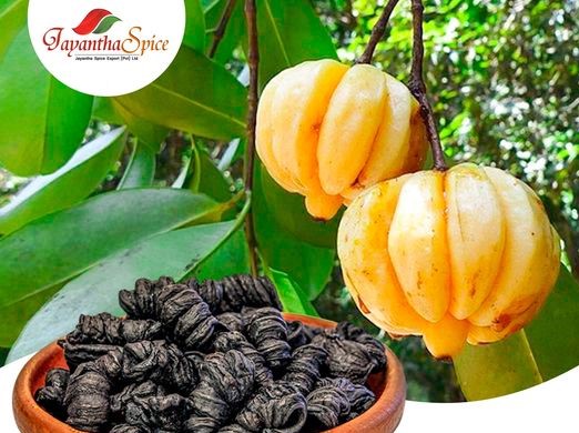 Product Details: Garcinia
