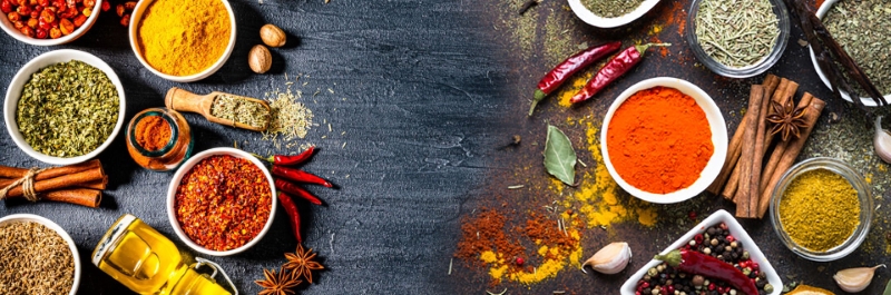 Seller Profile: Rayin Food Products ( Pvt ) Ltd.